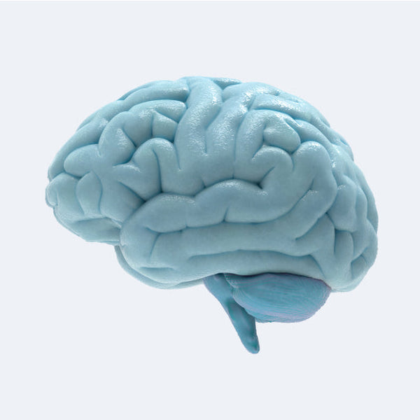 Tru Niagen | The Gold Standard in NAD+ Supplement Science